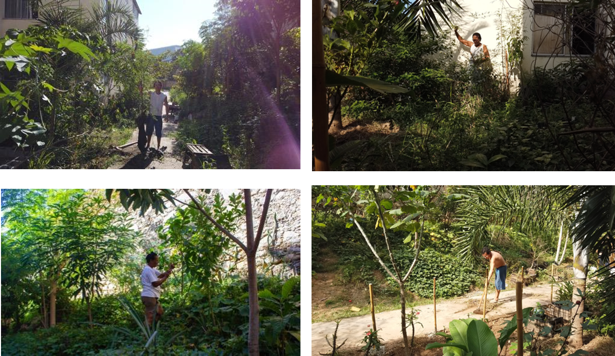An indigenous horticultural project in Rio de Janeiro as a gap in ...