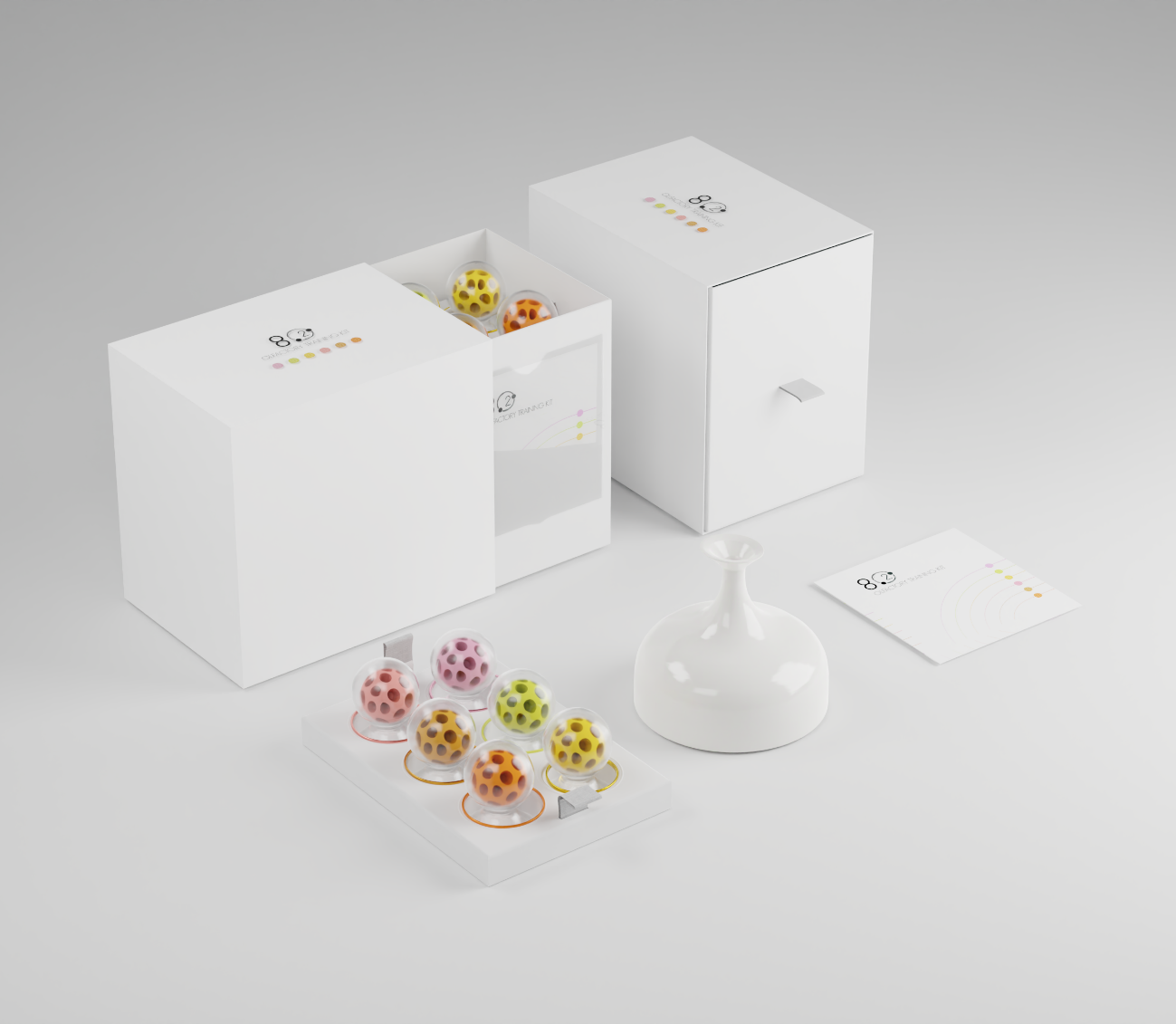 80/20 Olfactory Training Kit. A project for the recovery and ...