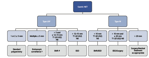 Neuroendocrine Tumors of the Gastrointestinal Tract: A Focused Review ...