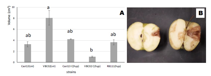 Virulence, ligninolytic enzymes and metabolic profile of cryphonectria ...