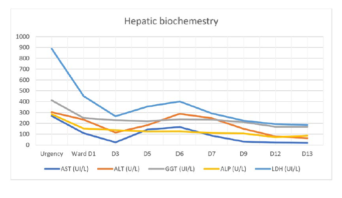 DRESS Syndrome: A Review Based on a Clinical Report