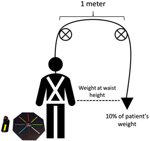 Reproducibility of the dynamic balance test of lower limbs with ...