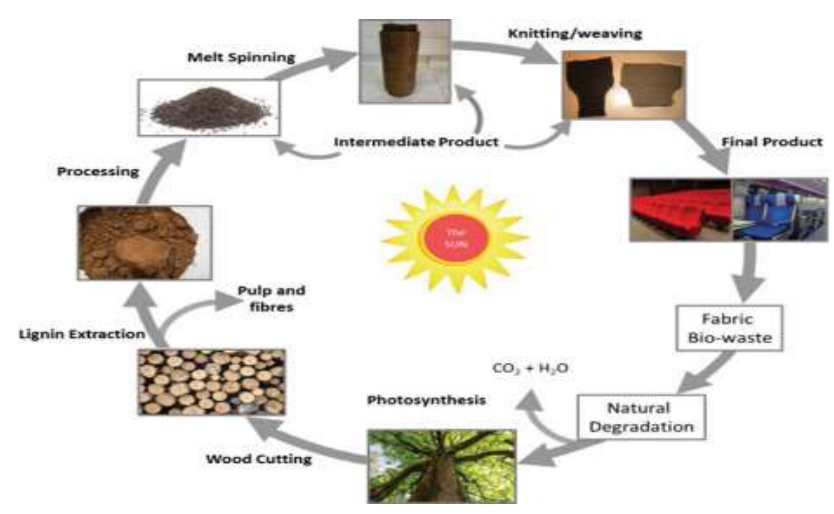 Pretreatment of Lignocellulosic Waste MaterialConversion into Biofuel ...