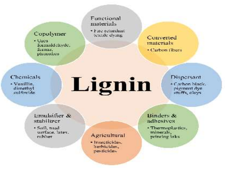 Advancing Lignin Extraction Technique from Lignocellulosic Biomass for ...