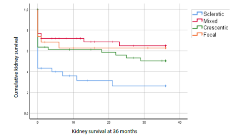 ANCA Renal Risk Score in a Portuguese Cohort: Insights and Comparison ...