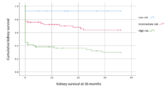 ANCA Renal Risk Score in a Portuguese Cohort: Insights and Comparison ...
