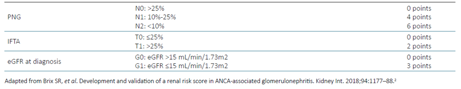 ANCA Renal Risk Score in a Portuguese Cohort: Insights and Comparison ...
