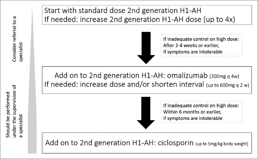Omalizumab and new therapeutic targets in chronic spontaneous urticaria