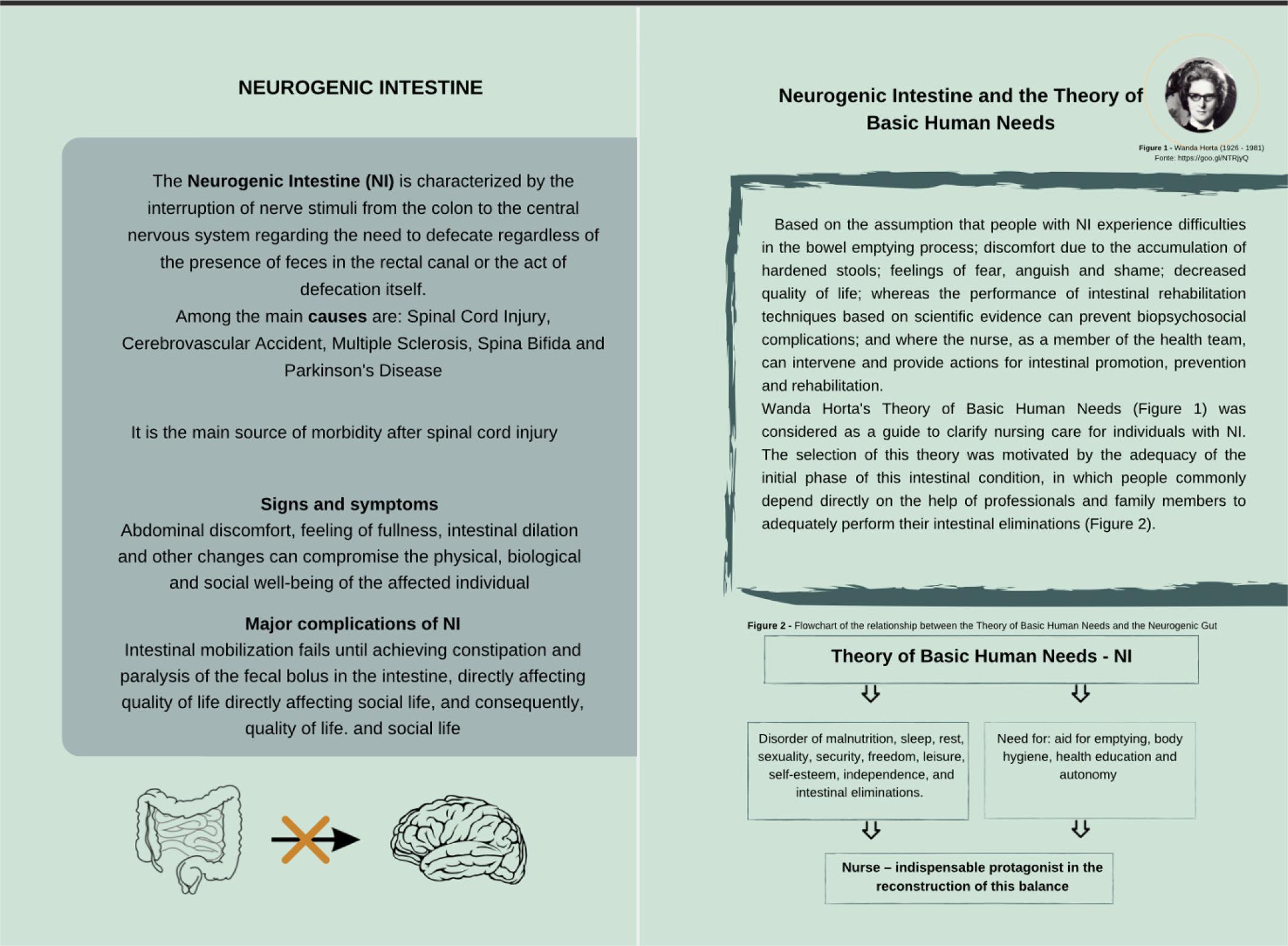 DEVELOPMENT OF TECHNOLOGICAL INNOVATION IN NEUROGENIC BOWEL ...