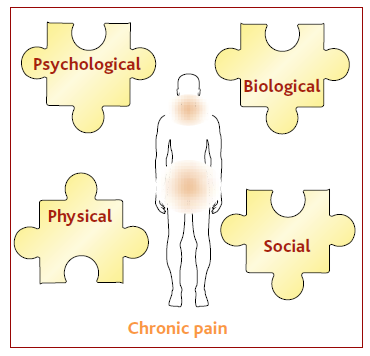 Assessment of chronic pain: multidimensional tools, applicability, and ...